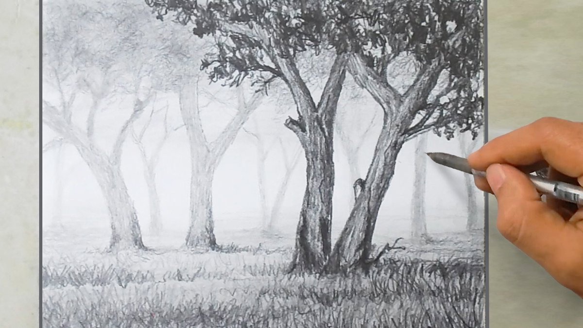 Drawing for Beginners - Selwyn Community Education